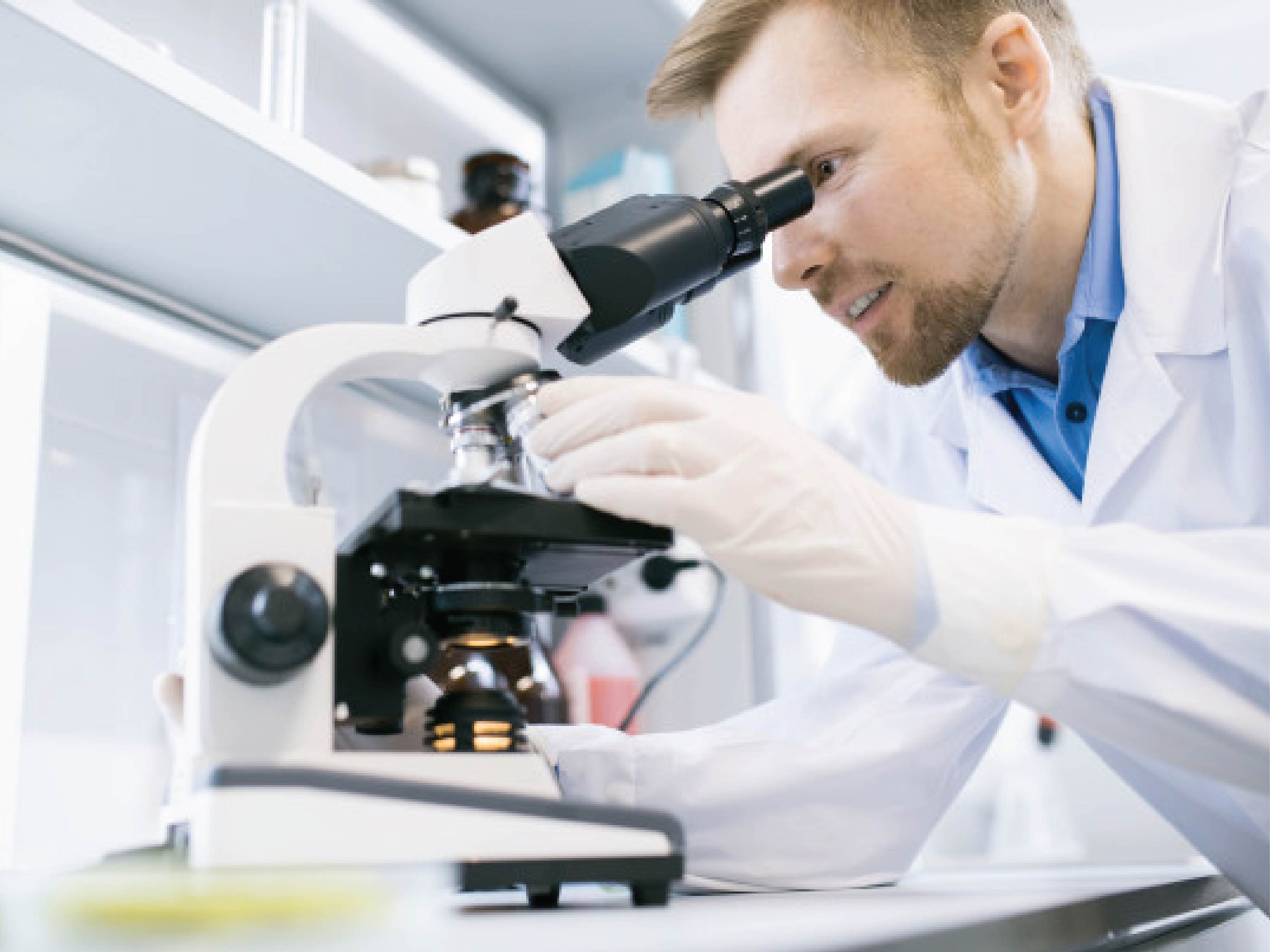 What Effects Exciting Hamer & Active Candy have on Longevity?