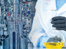 How to Boost Energy Levels & Stay Active The Hamer & Active Way